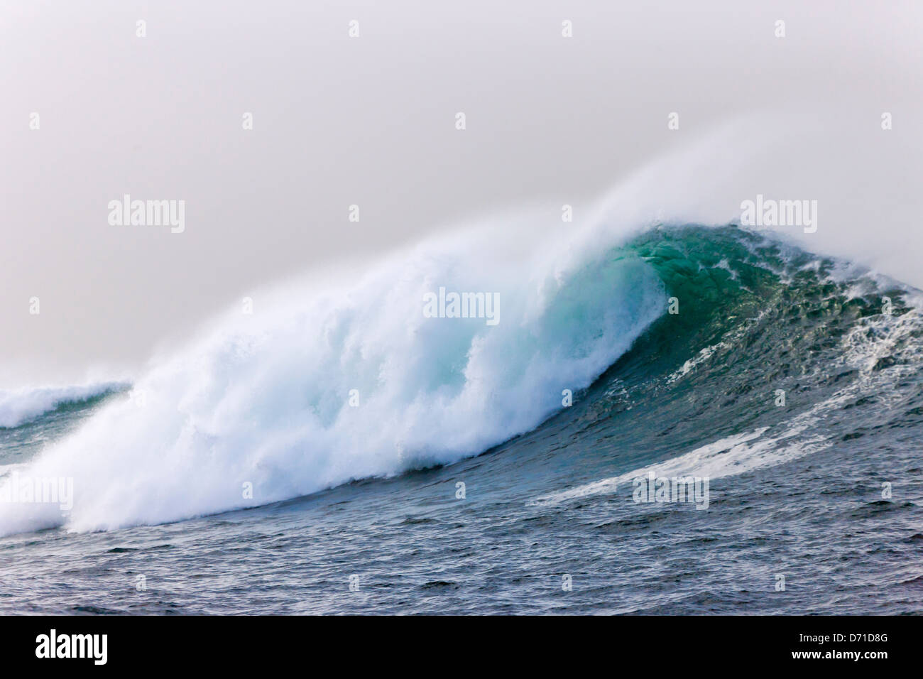 Ocean false hi-res stock photography and images - Alamy