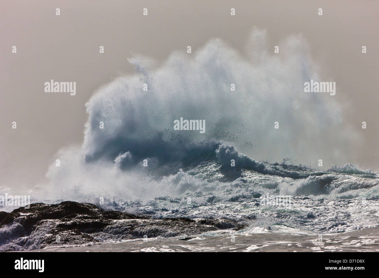 Big wave in the ocean, False Bay, South Africa Stock Photo - Alamy