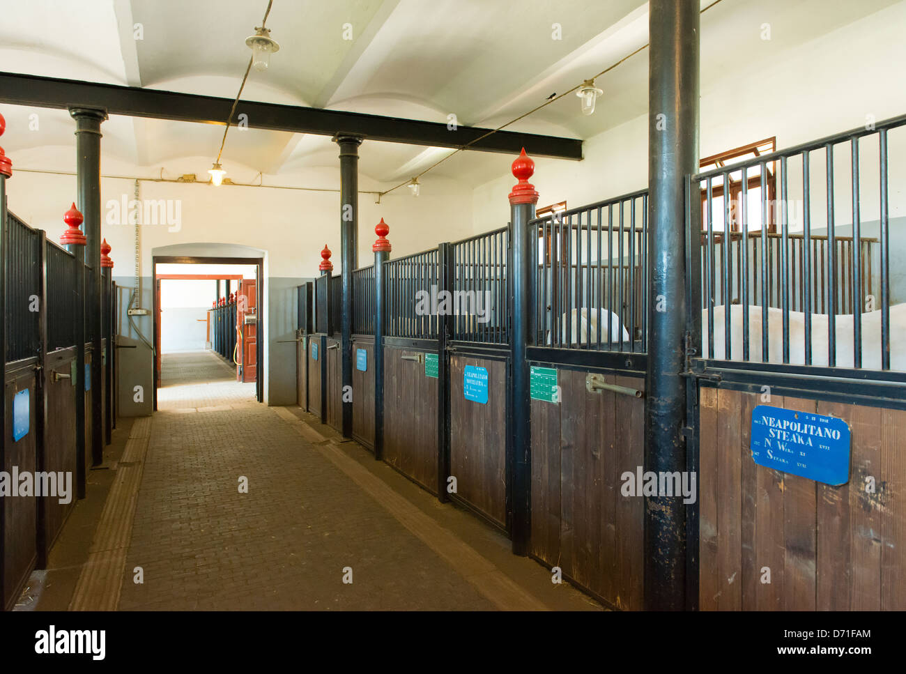 the ancient stables in Lipica Stock Photo - Alamy