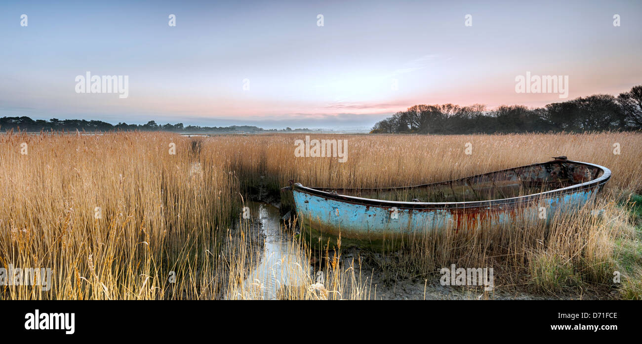 Shipwrecked Boat High Resolution Stock Photography and Images - Alamy