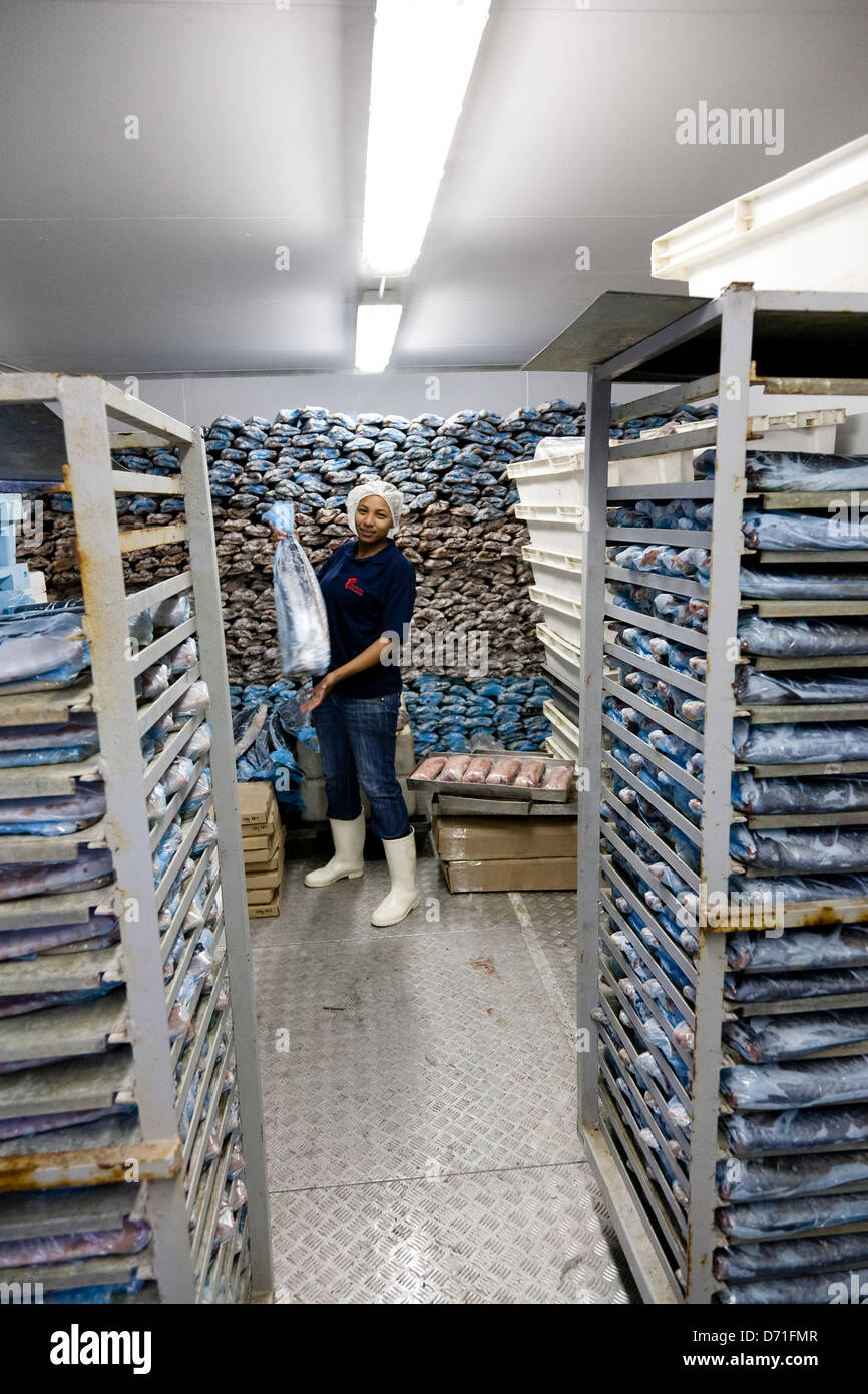 Security bay store hi-res stock photography and images - Alamy