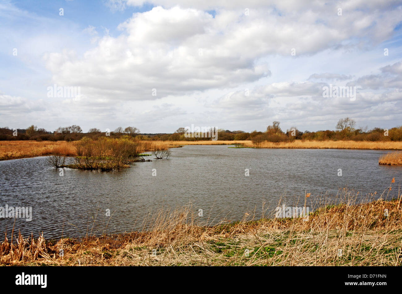 Rspb surlingham church marsh hi-res stock photography and images - Alamy