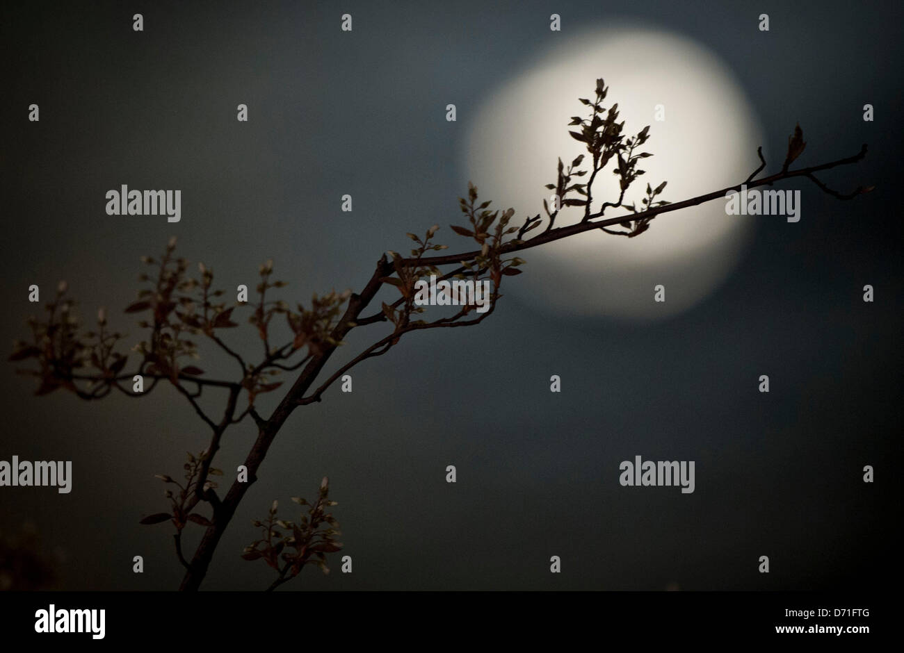 Lunar eclipse visible above hi-res stock photography and images - Alamy