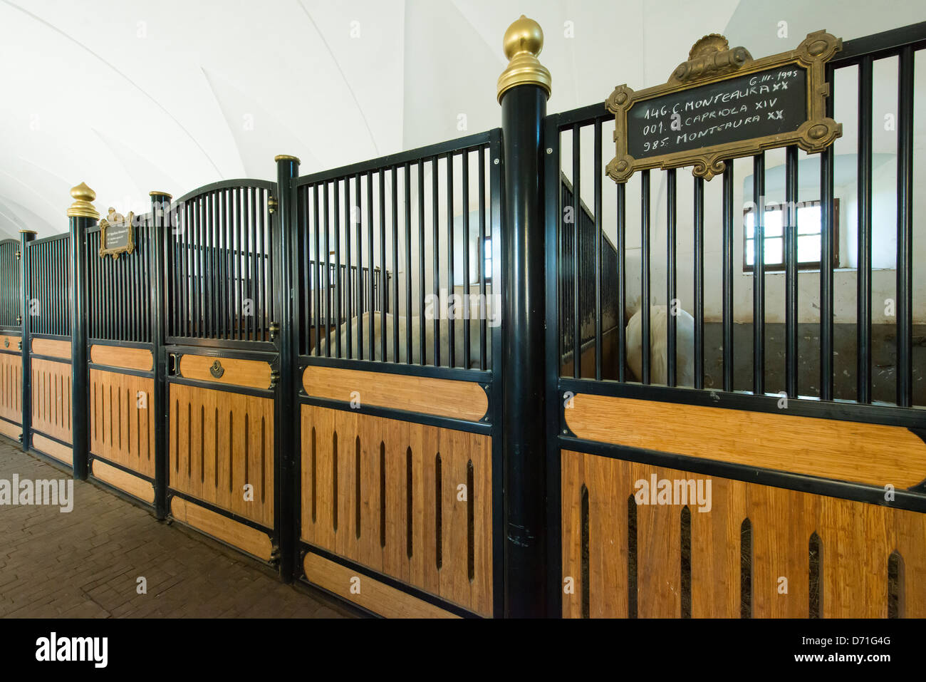 the ancient stables in Lipica Stock Photo - Alamy