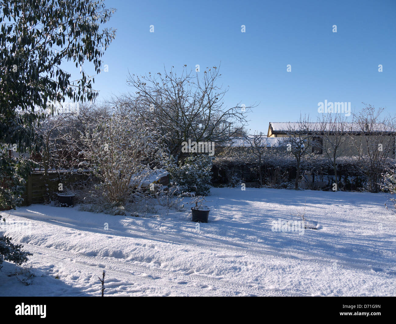 Snowy garden, Mablethorpe, Lincolnshire Stock Photo - Alamy