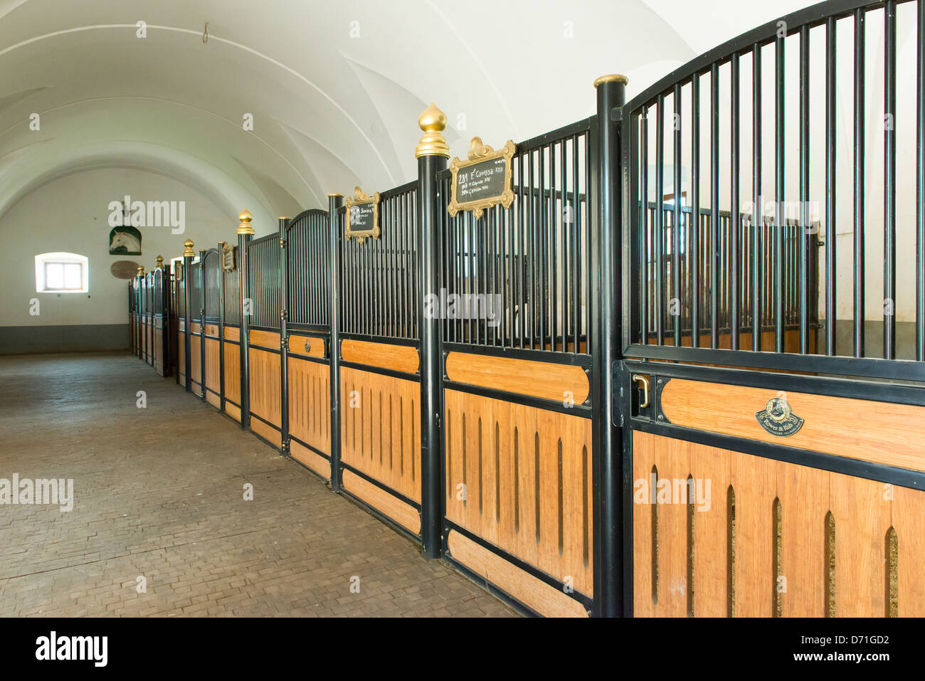 Ancient horse equipment hi-res stock photography and images - Alamy