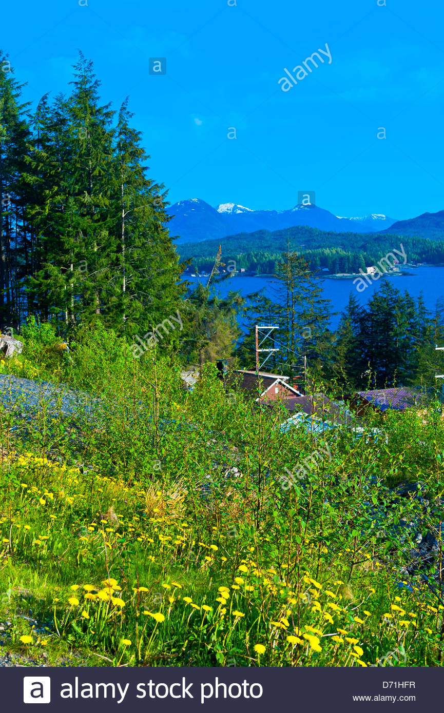 Tongass Narrows Stock Photos & Tongass Narrows Stock Images - Alamy