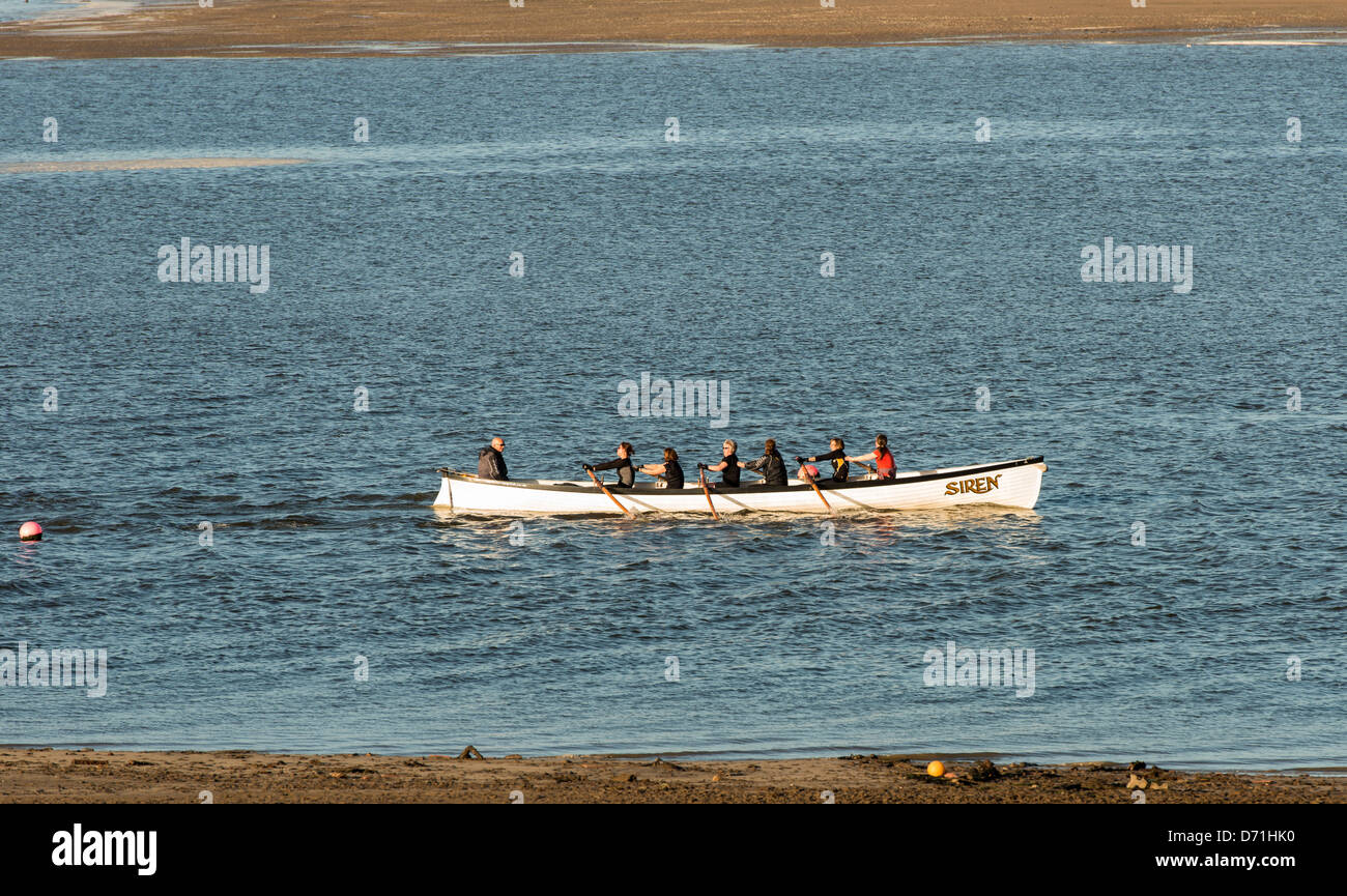Female rowing team hi-res stock photography and images - Alamy