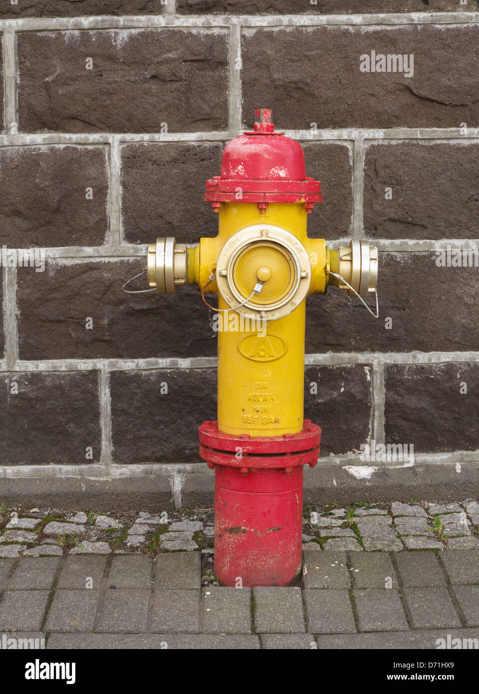 Fire Hydrant in Reykjavik, Iceland Stock Photo - Alamy