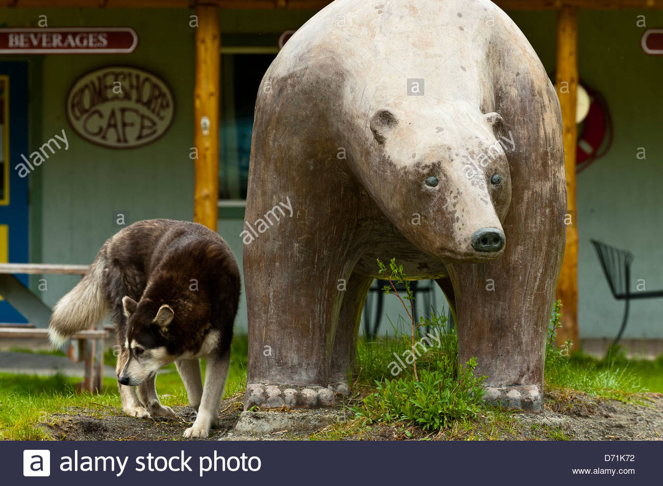 Gustavus Alaska High Resolution Stock Photography and Images - Alamy