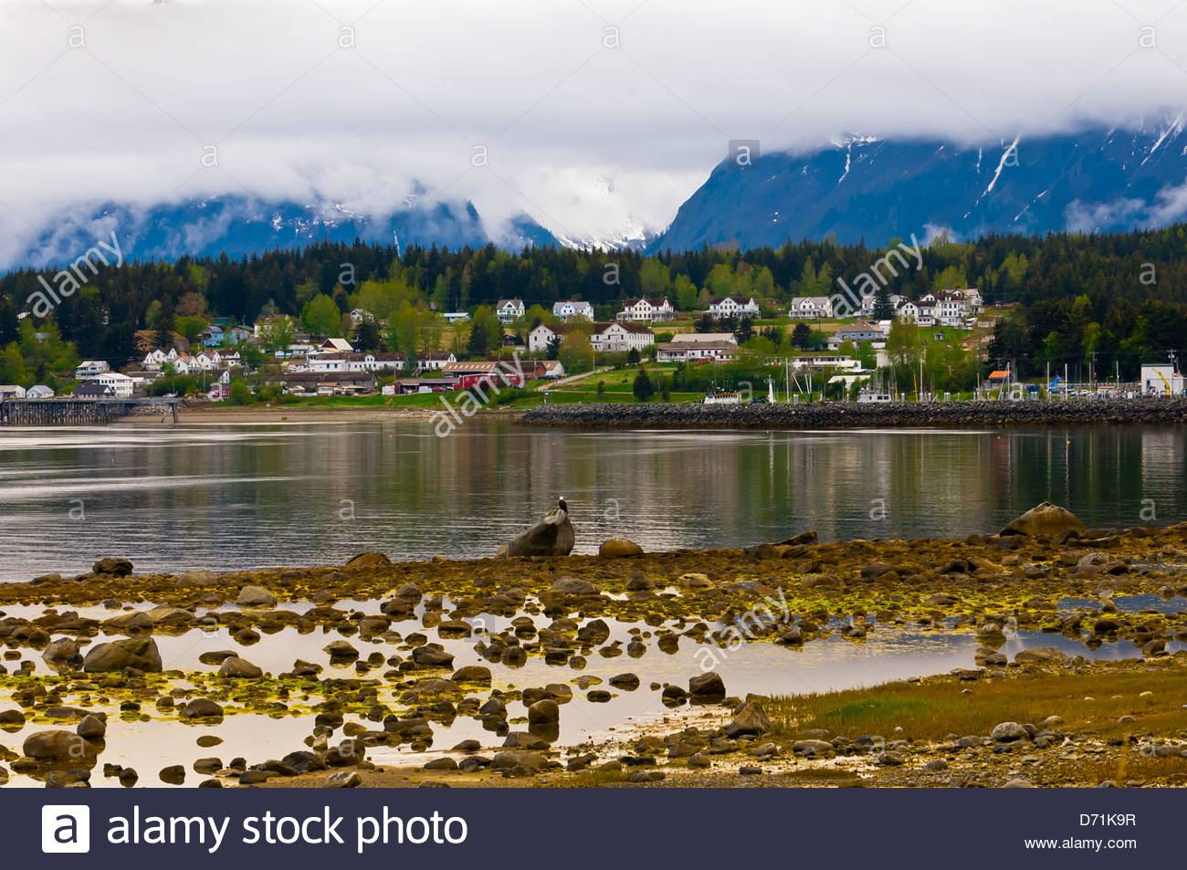 Eagle And Alaska And Town High Resolution Stock Photography and Images ...