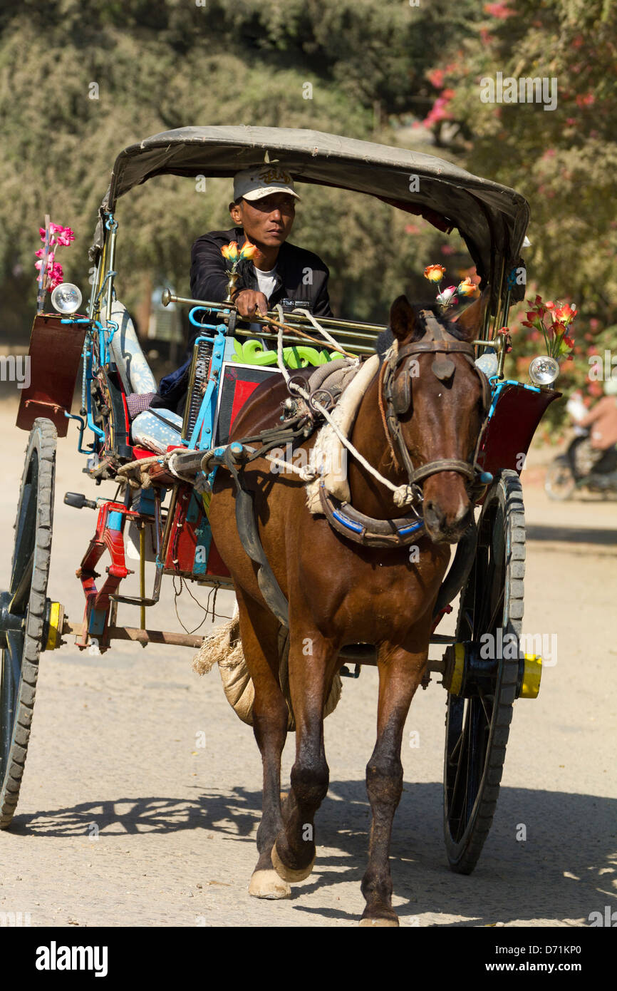 Riding horse buggy hi-res stock photography and images - Alamy