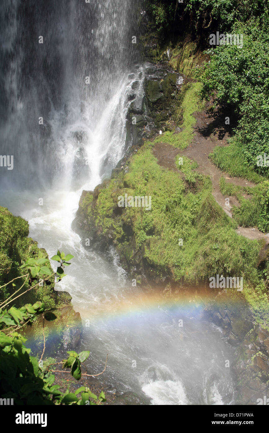 The Peguche Falls near Otavalo, Ecuador cascade over a cliff onto rocks ...