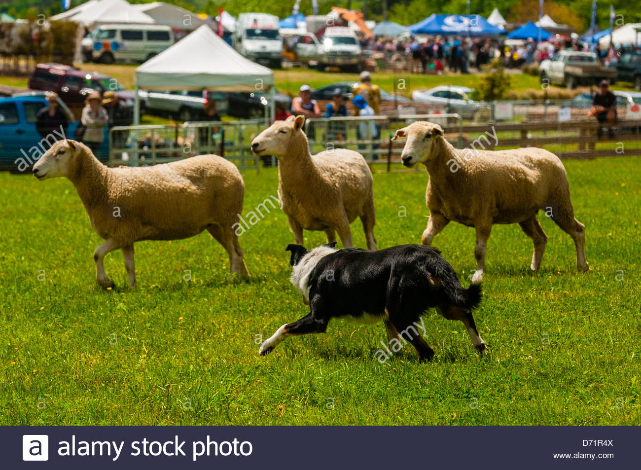Pastoral Society Stock Photos & Pastoral Society Stock Images - Alamy
