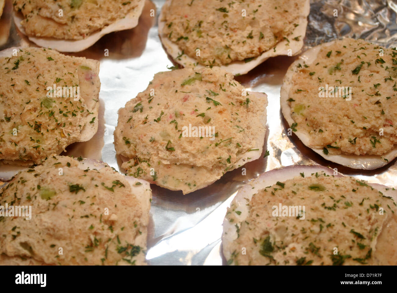 Classic scallop shell hi-res stock photography and images - Alamy