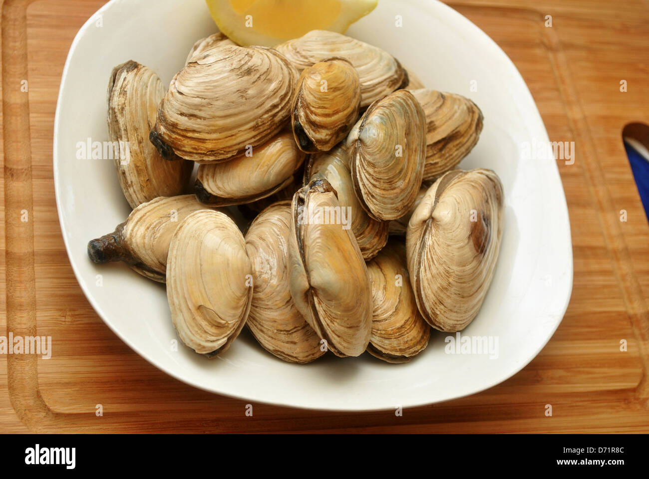 Steamers clams hi-res stock photography and images - Alamy