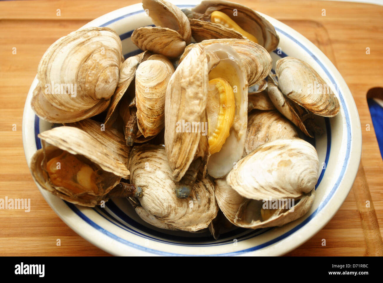 Huge clams hi-res stock photography and images - Alamy