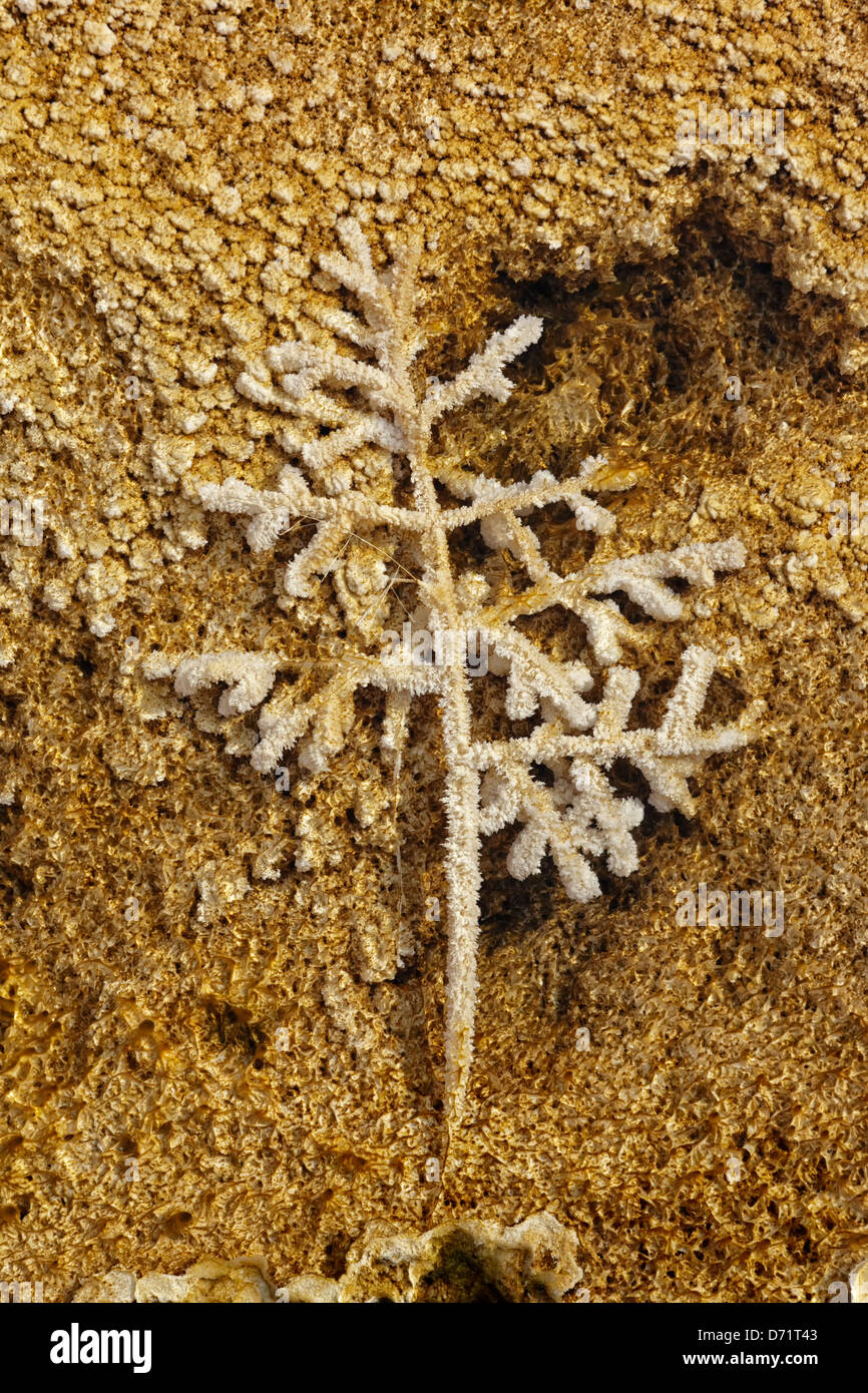 Calcified scenery hi-res stock photography and images - Alamy