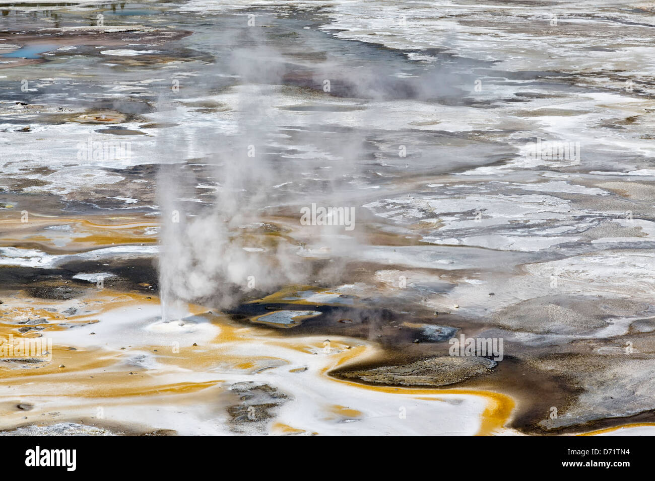 Norris Basin - Yellowstone NP Stock Photo - Alamy