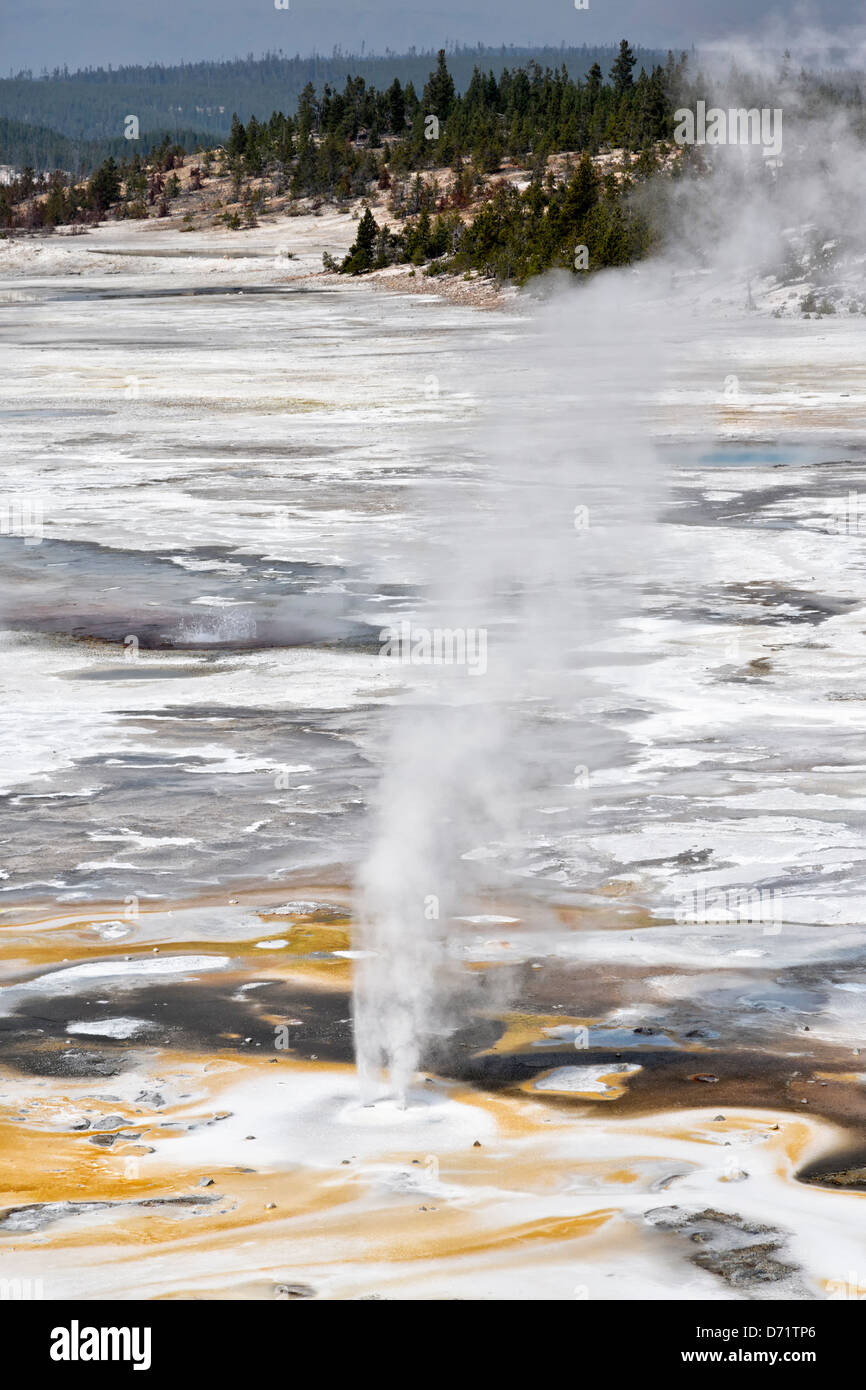Norris Basin - Yellowstone NP Stock Photo - Alamy