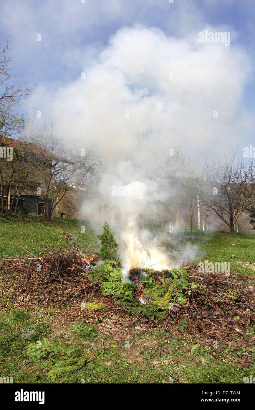 Heat and fallen fruit and nobody hi-res stock photography and images ...