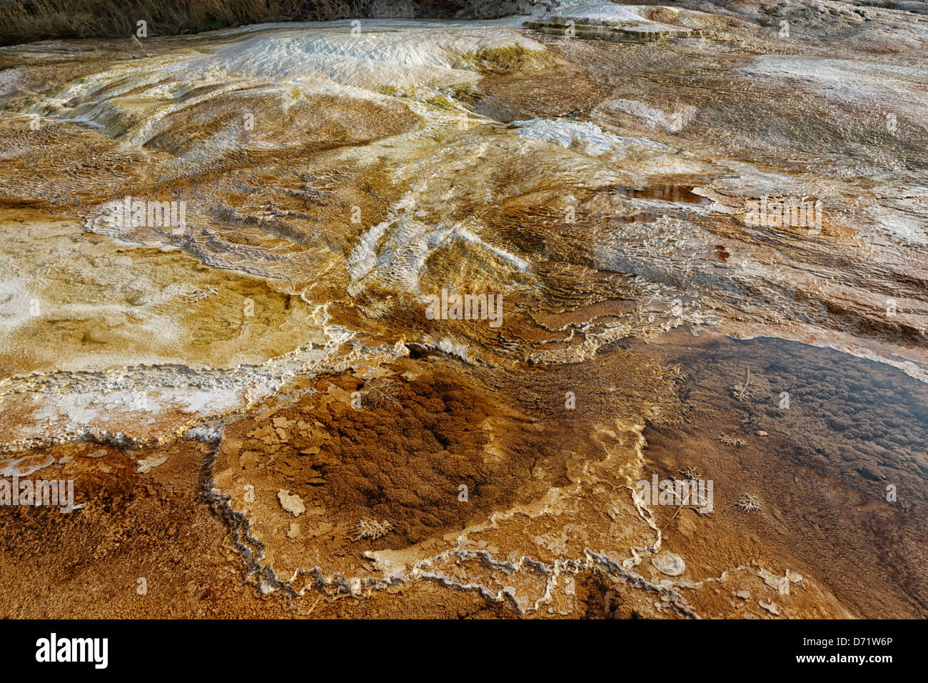 Upper terrace - Mammoth Stock Photo - Alamy