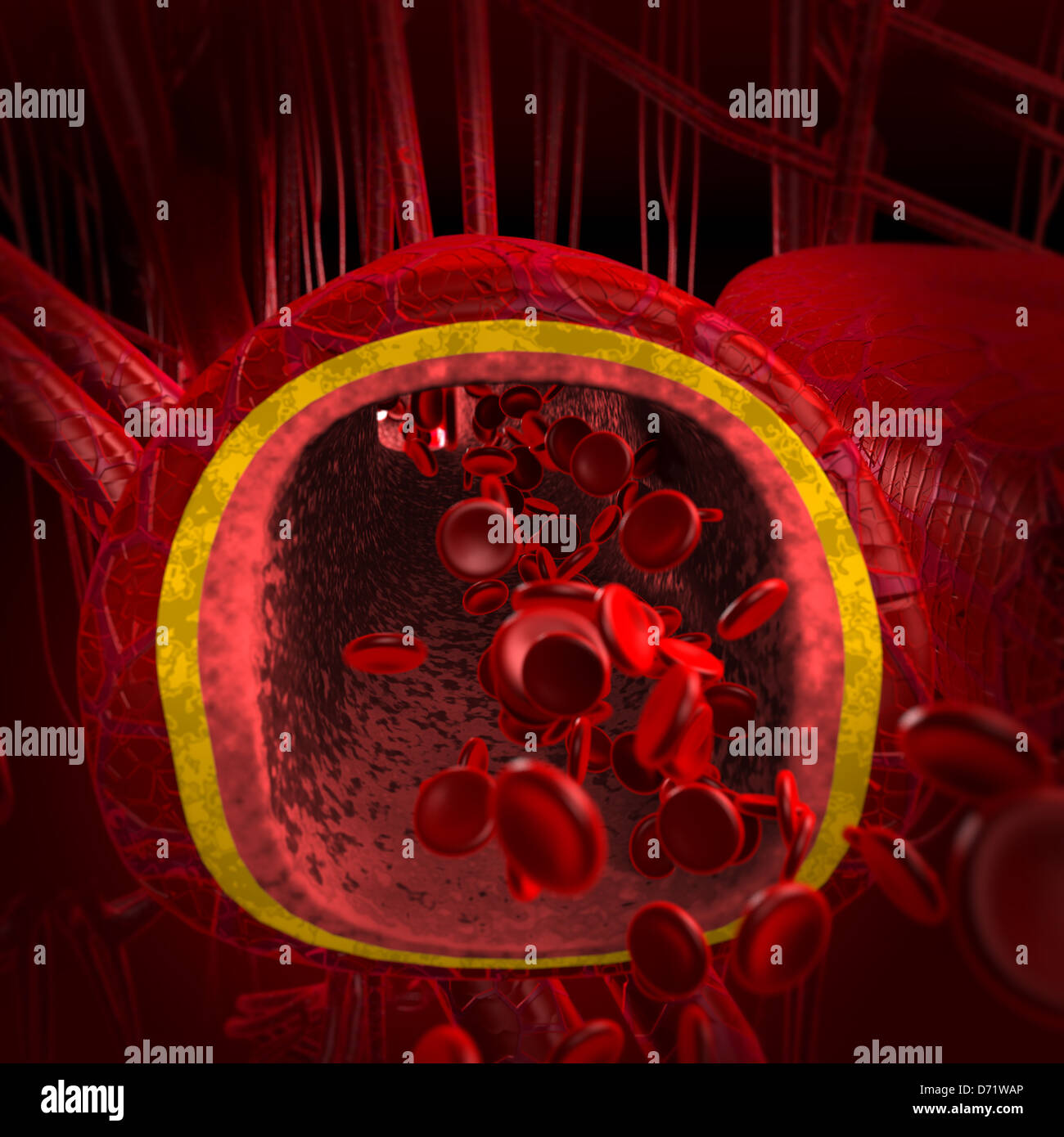 Surgery blood pump hi-res stock photography and images - Alamy