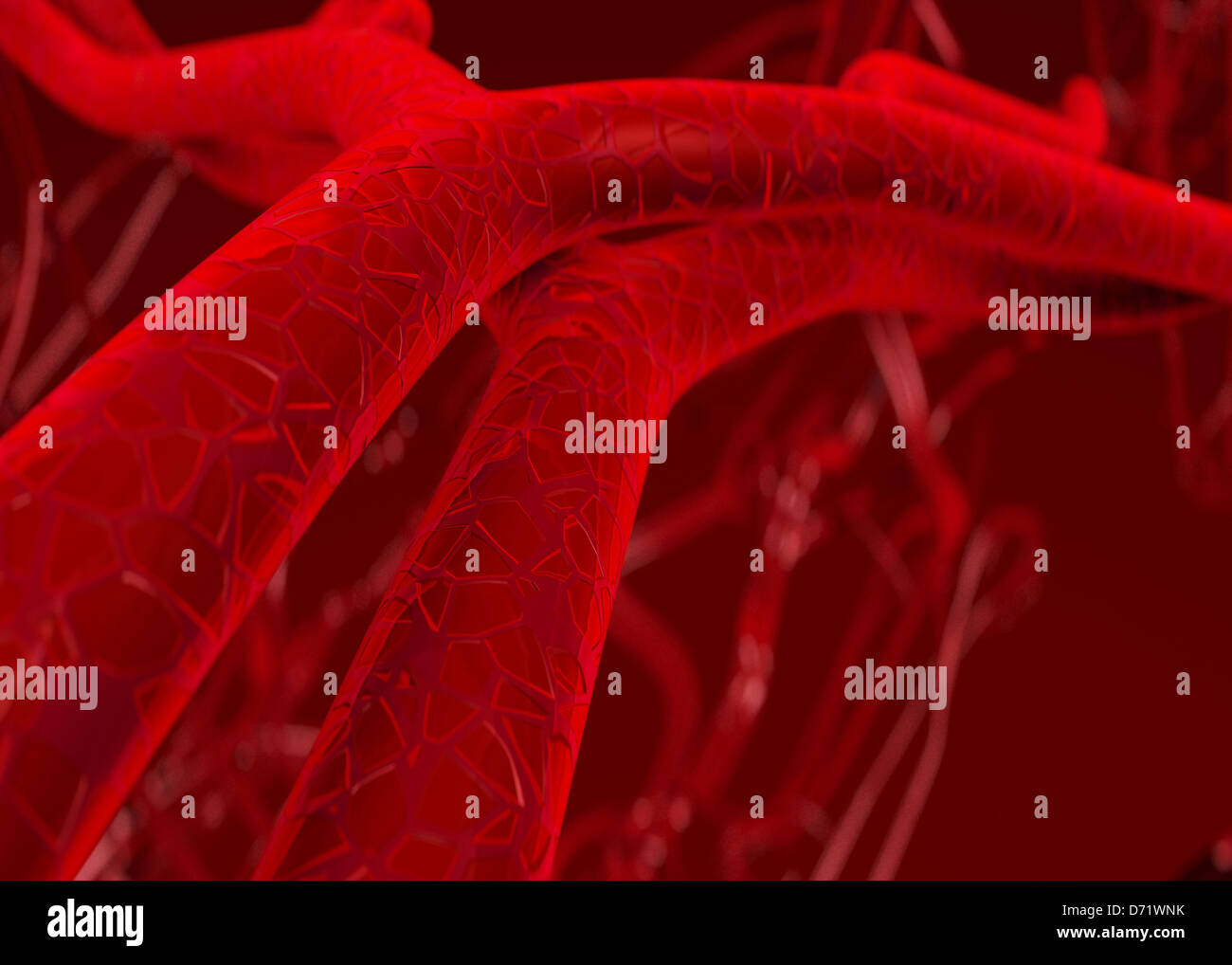Arterioles hi-res stock photography and images - Alamy