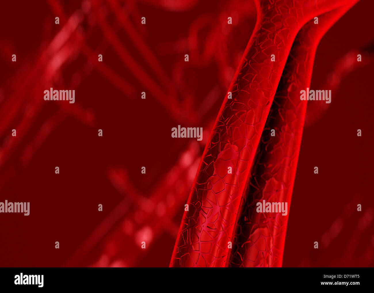 Arteries of life hi-res stock photography and images - Alamy