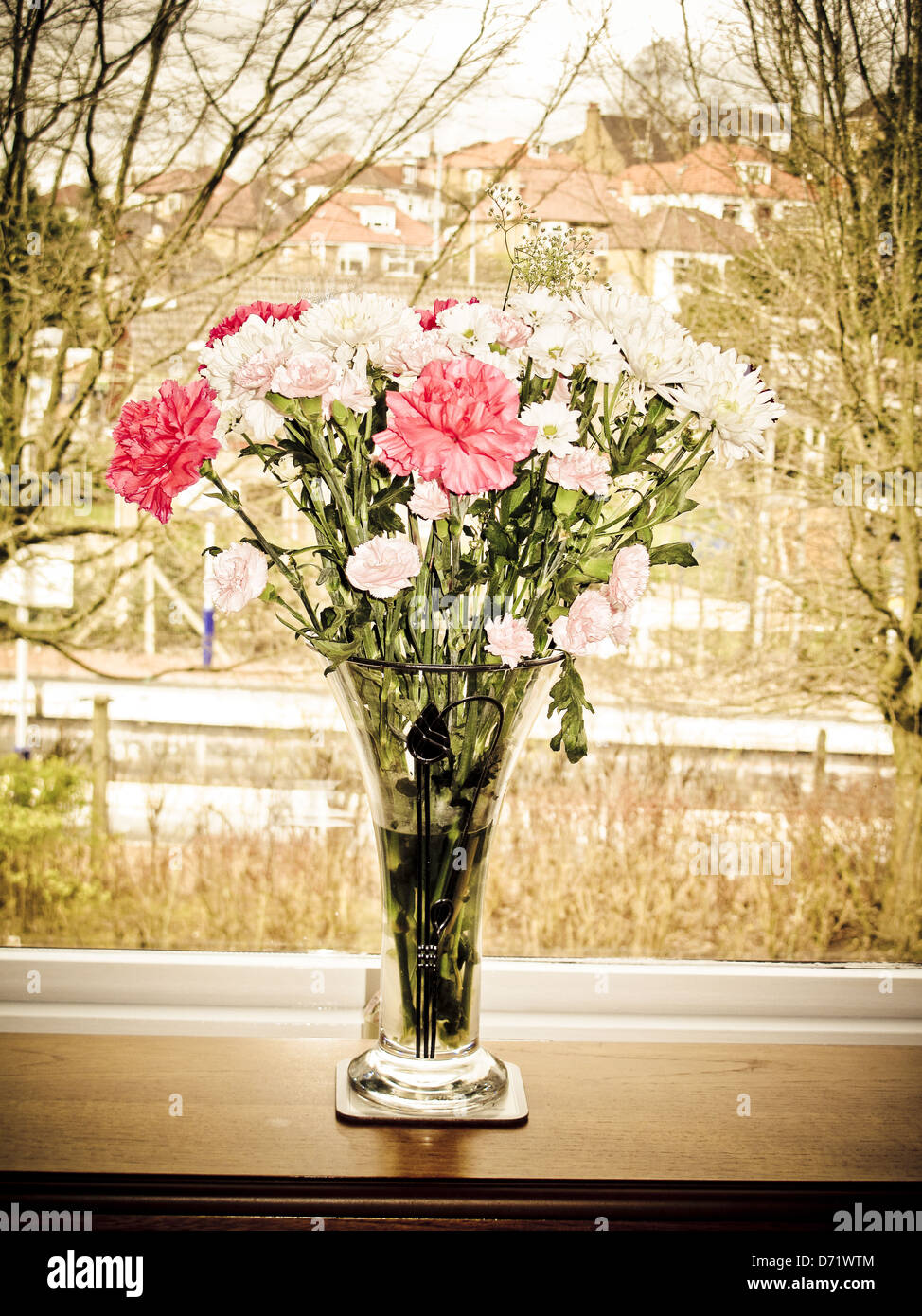 Vase of fresh cut flowers on window sill Stock Photo - Alamy
