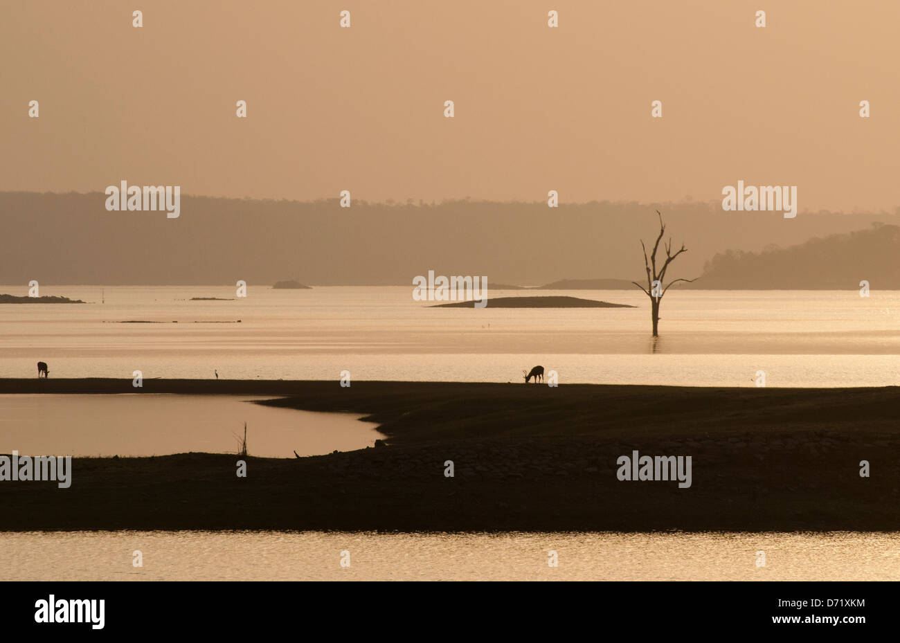 evening light,pench river,pench,tiger reserve,madhya pradesh,india ...