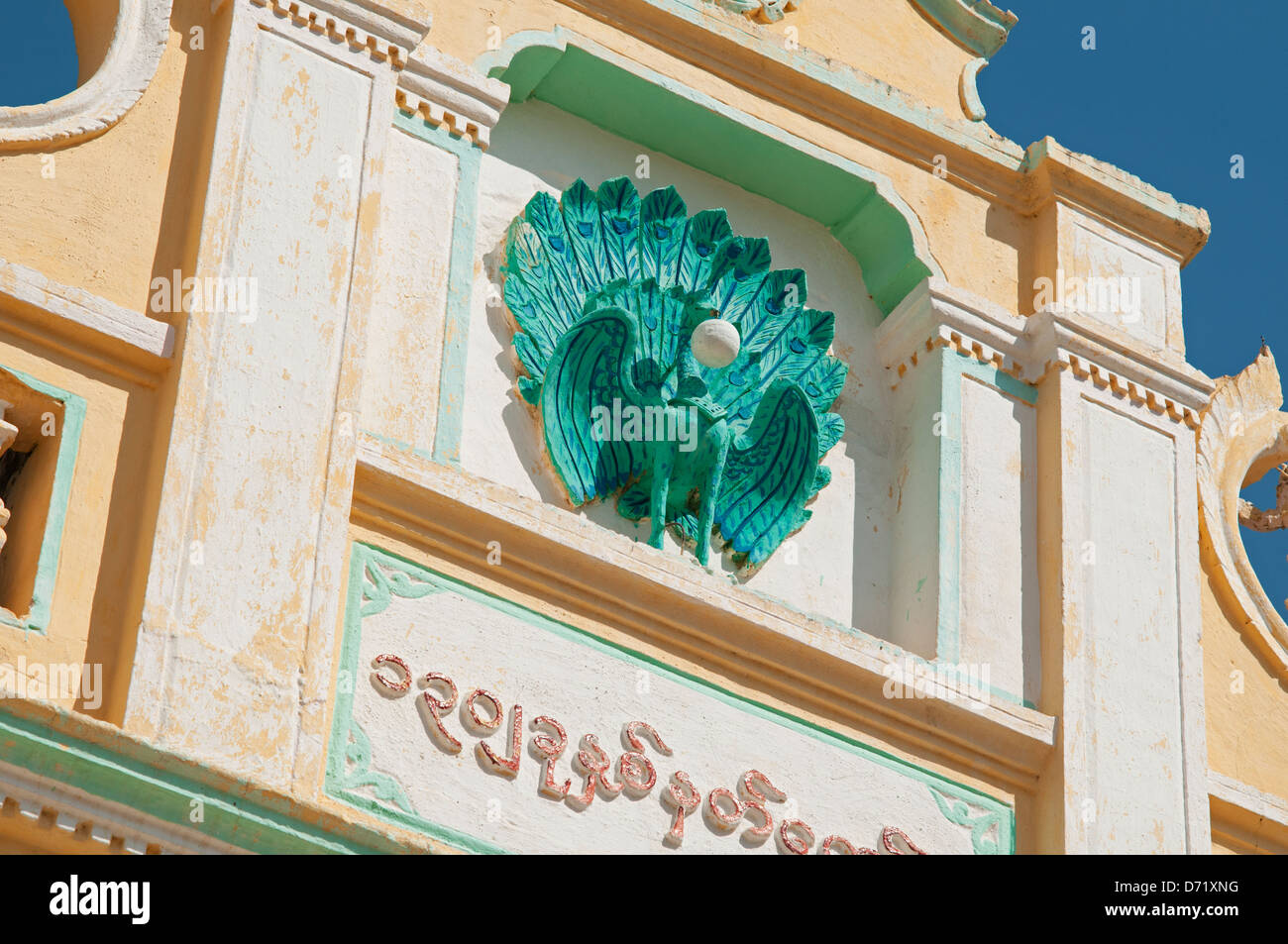 Peafowl of myanmar hi-res stock photography and images - Alamy