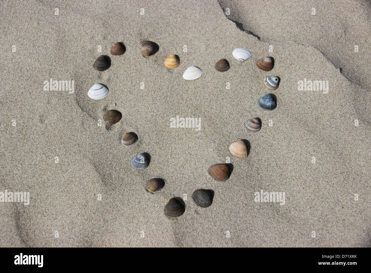 Heart designed with sea shells on the beach Stock Photo - Alamy