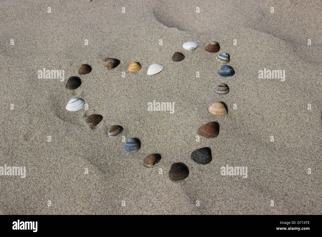 Heart designed with sea shells on the beach Stock Photo - Alamy