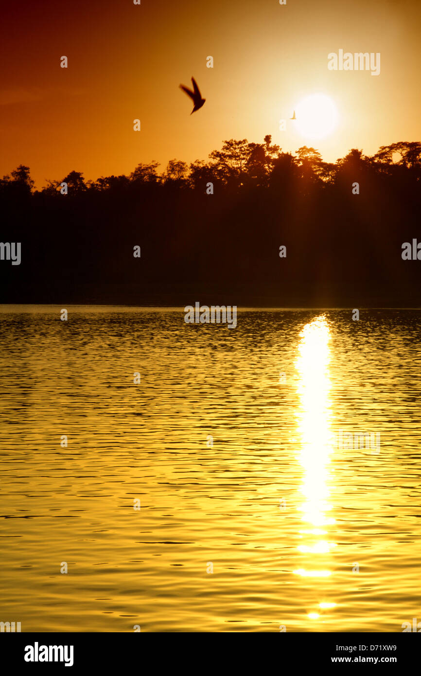 sunset on the river Stock Photo - Alamy