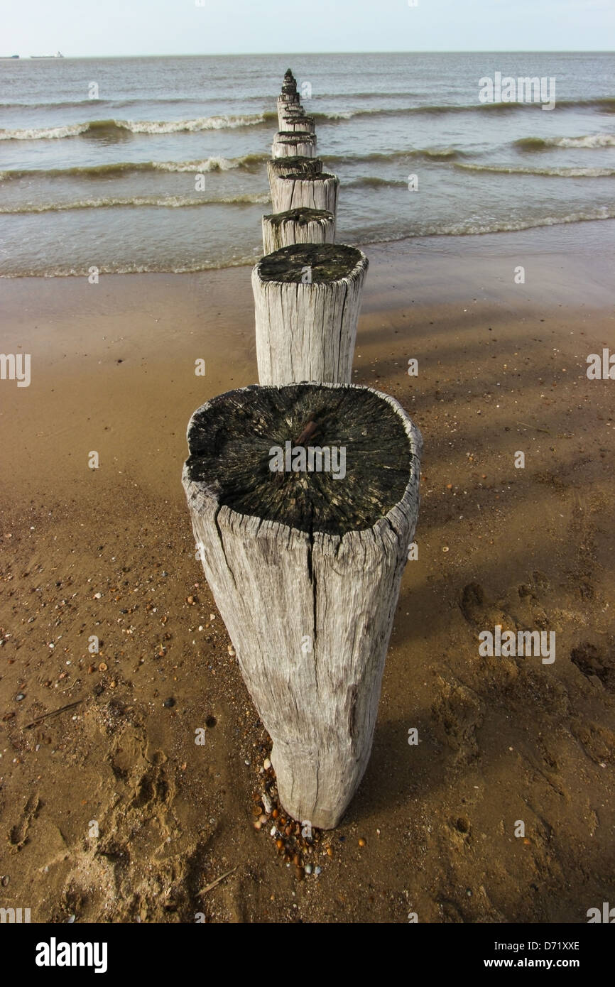 Stake of wood hi-res stock photography and images - Alamy