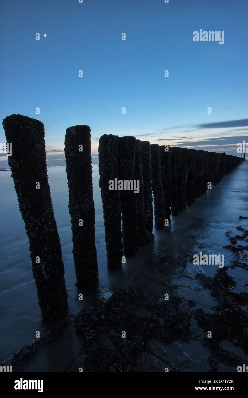 Wave breaker made of wooden stakes and stones on the beach. Just after ...