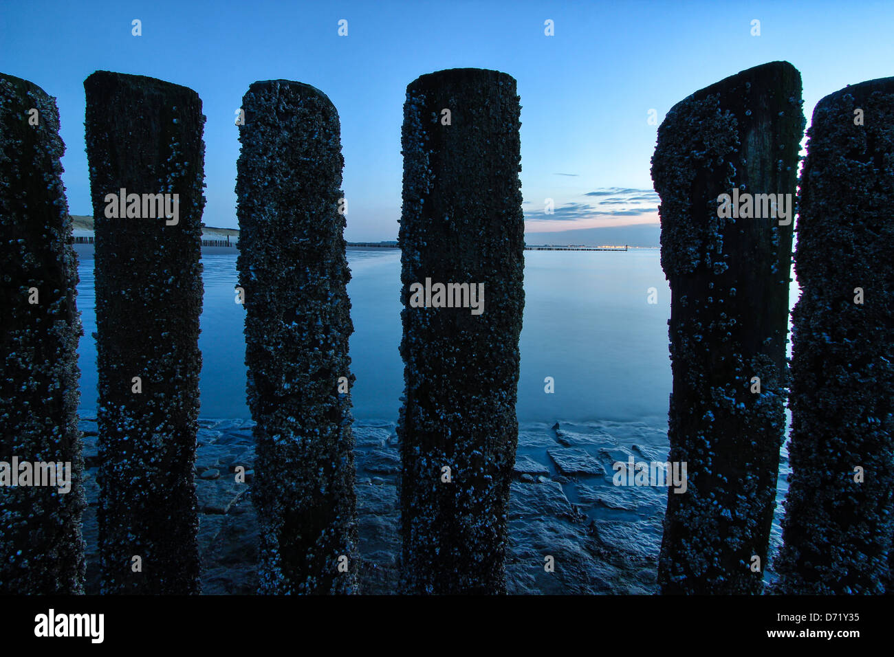 Wave breaker made of wooden stakes and stones on the beach. Just after ...