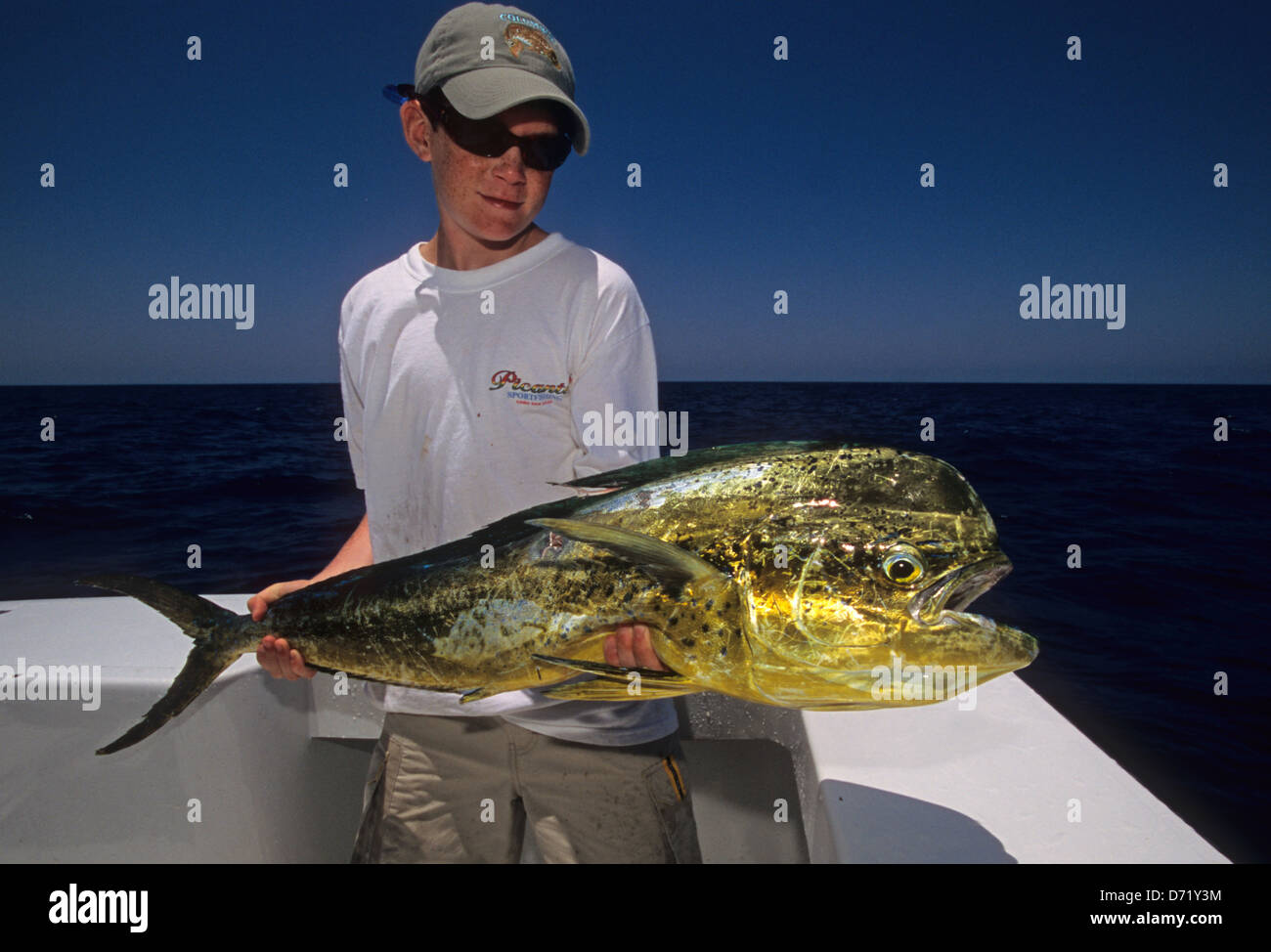 A young boy with a dolphin (Coryphaena hippurus) caught near Key West ...