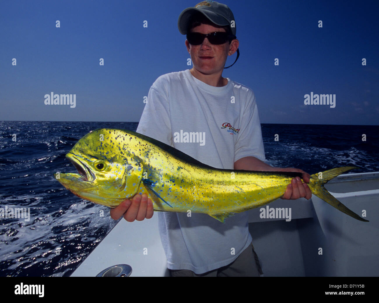 A young boy with a dolphin (Coryphaena hippurus) caught near Key West ...