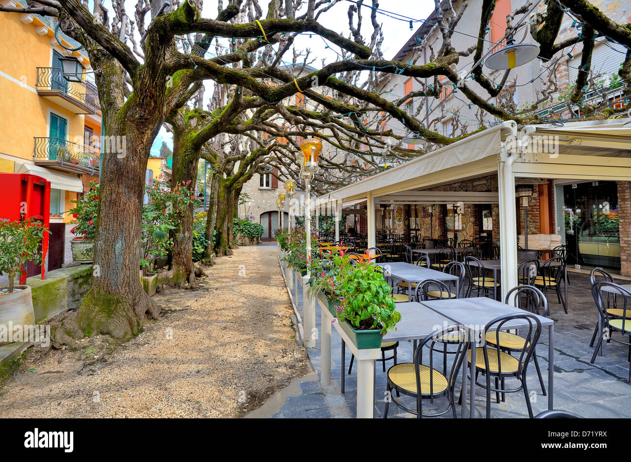 Table chair under tree in hi-res stock photography and images - Alamy
