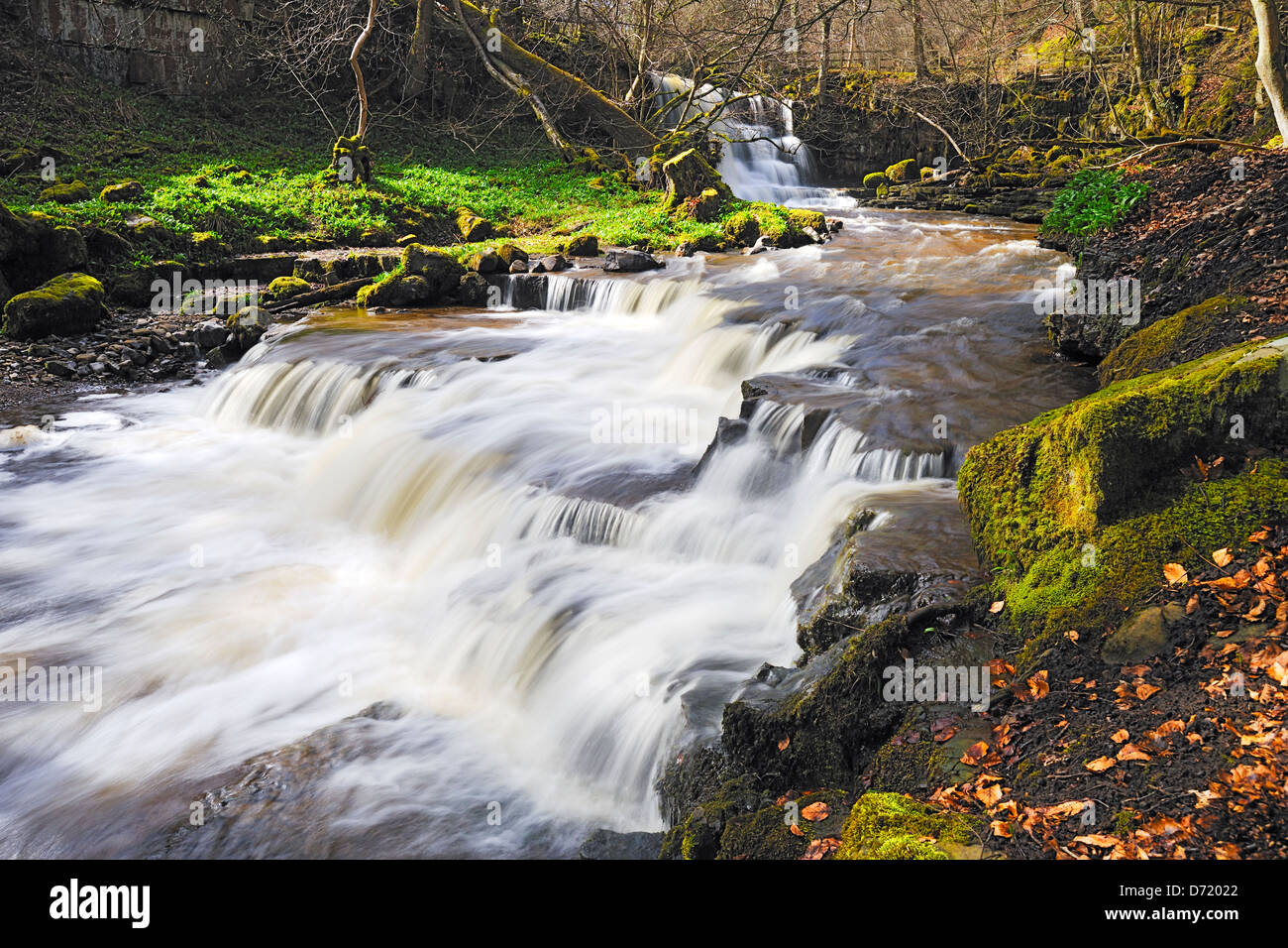 Cascading water in Haverdale Woods, Swaledale, Yorkshire, England Stock ...