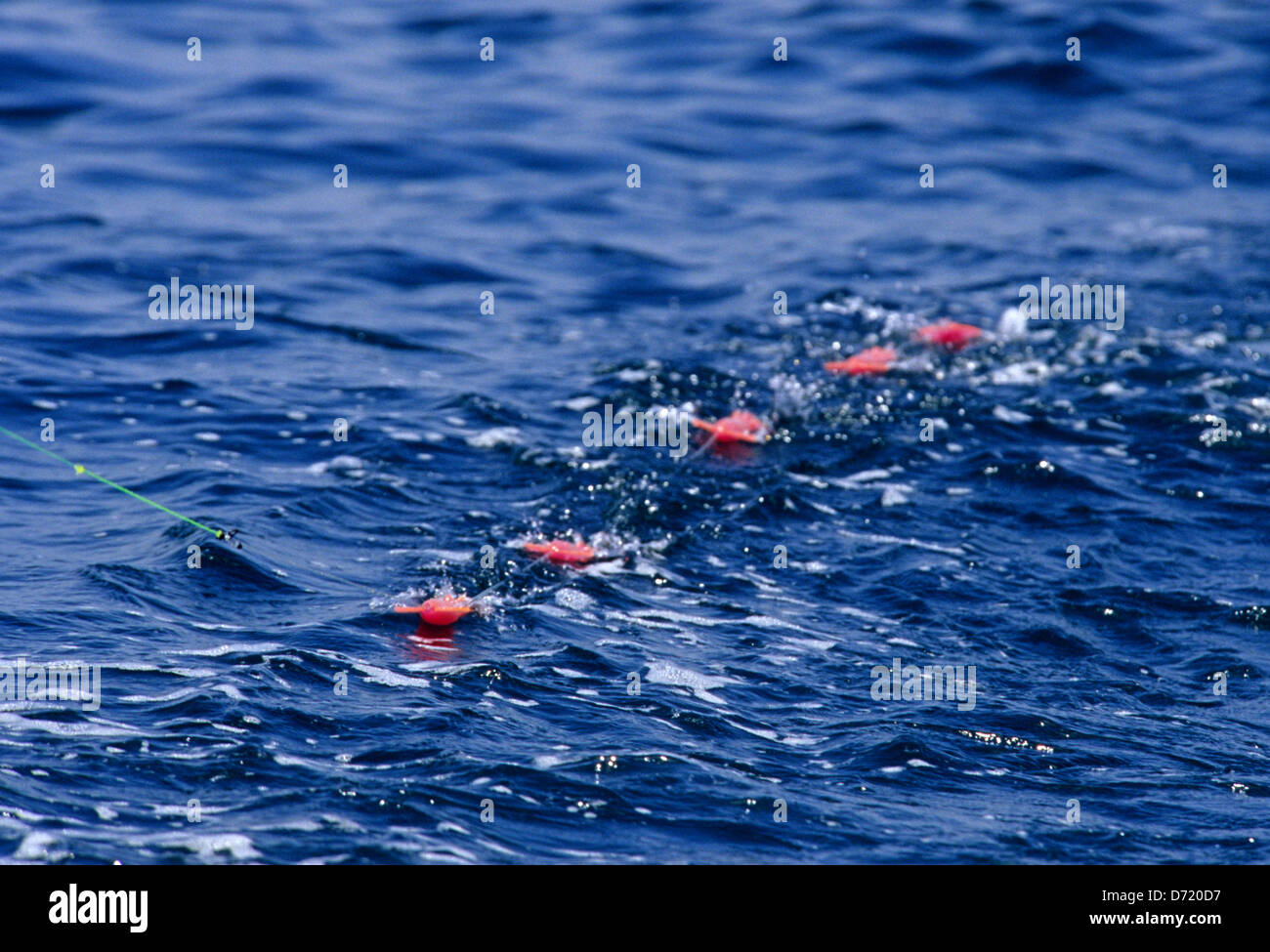 Teaser lures used for offshore and deep sea fishing near Port Aransas ...