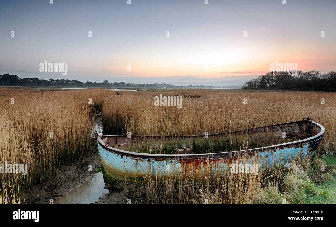Rusty old abandoned shipwrecked boat in reeds in the backwaters of ...