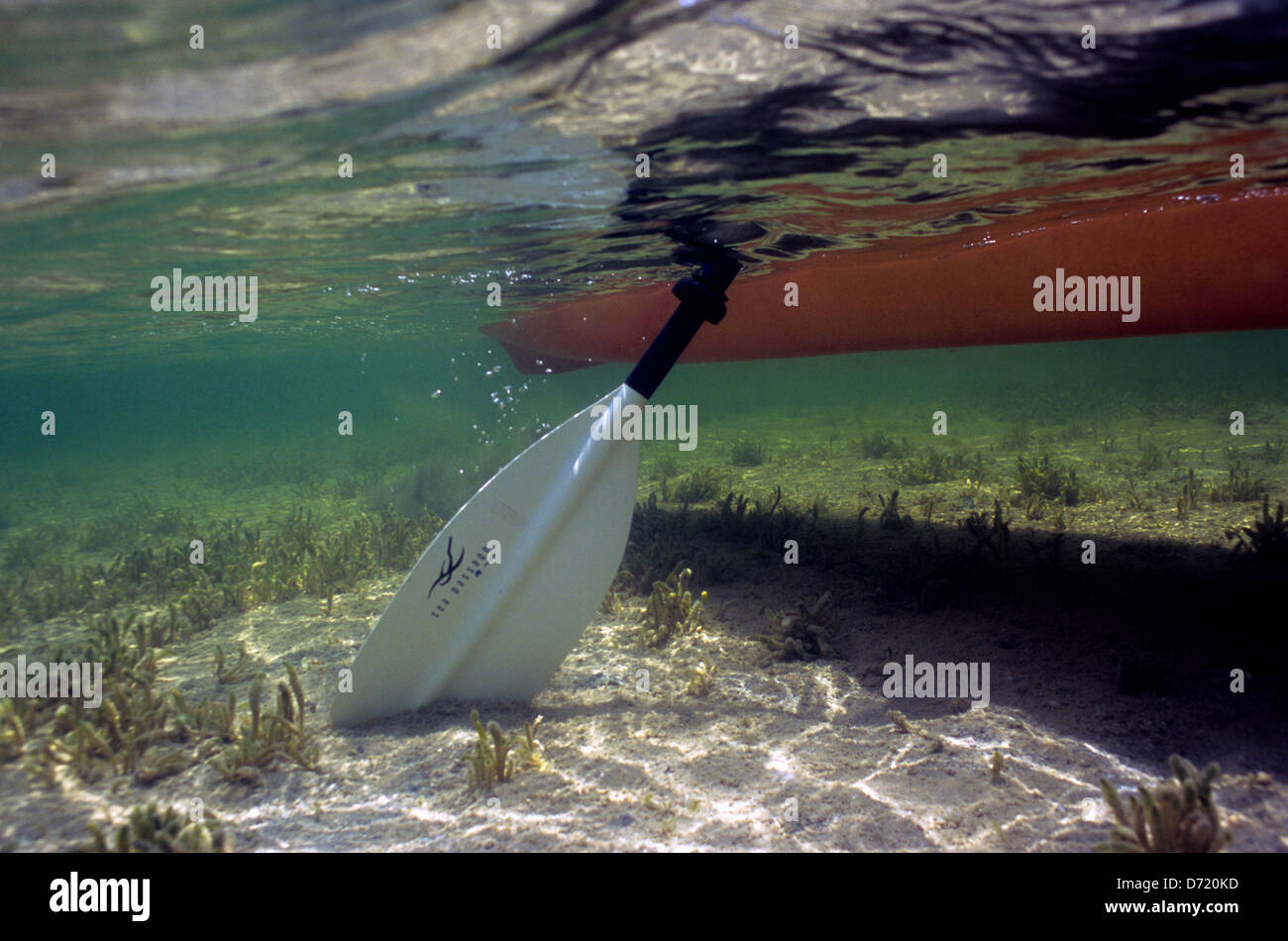 Underwater view of a kayak paddled across the flats of Ascension Bay ...