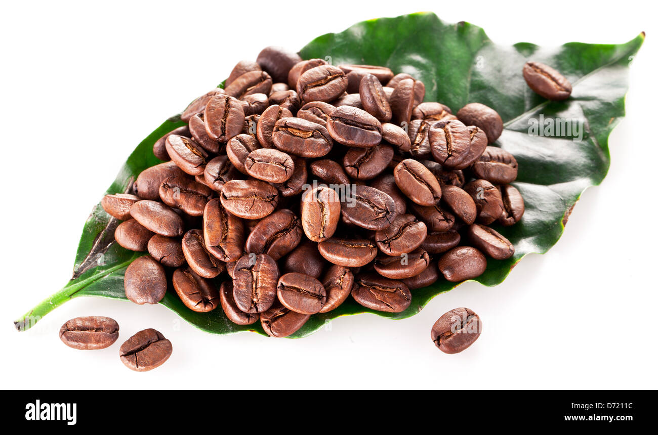 Coffee beans on leaf. Closeup snapshot on a white background Stock ...