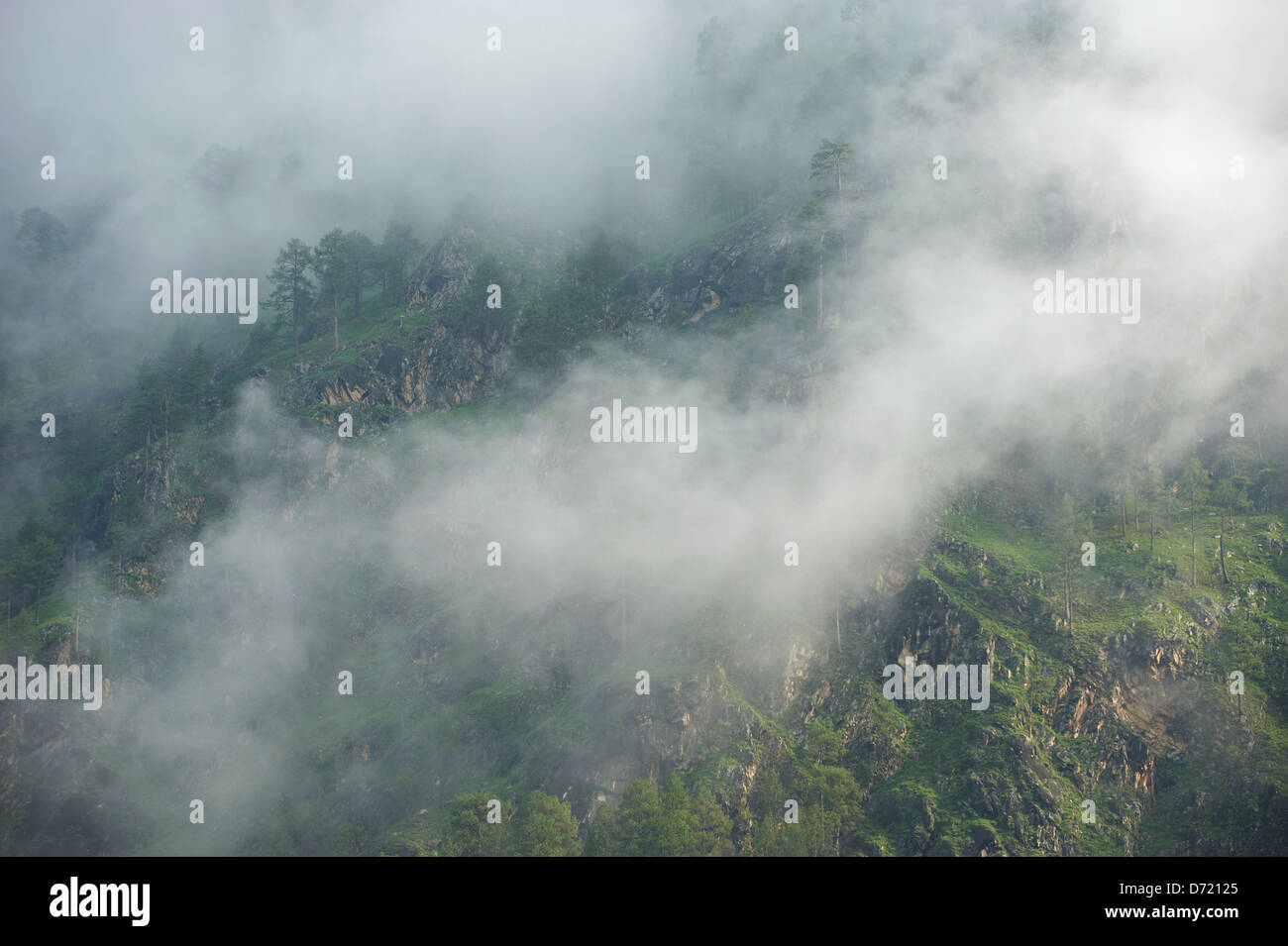 Steep sides of Parvati Valley in Northern India, Himachal Pradesh Stock ...