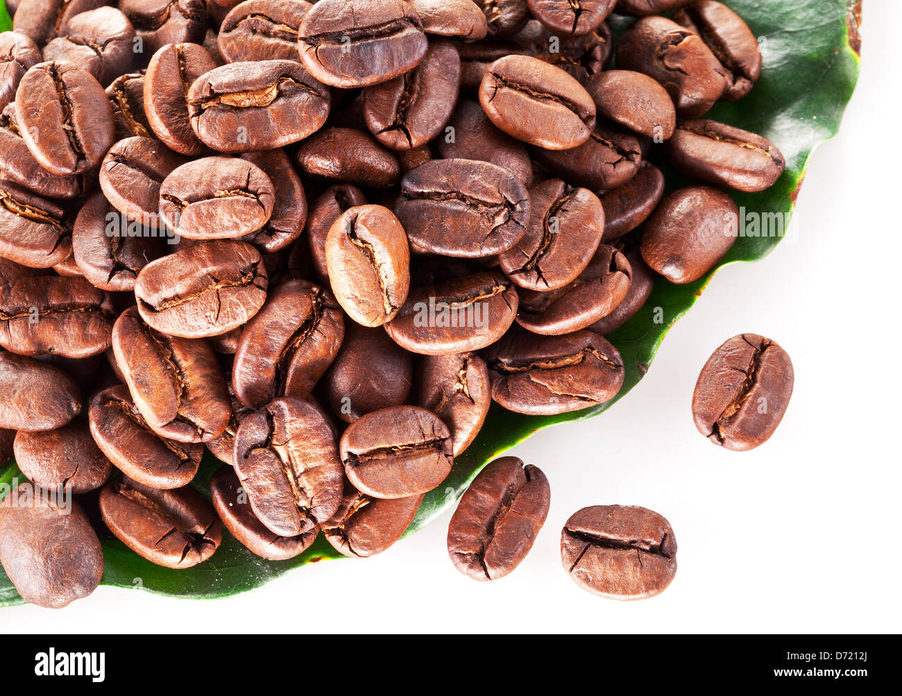 Coffee beans on leaf. Closeup snapshot on a white background Stock ...