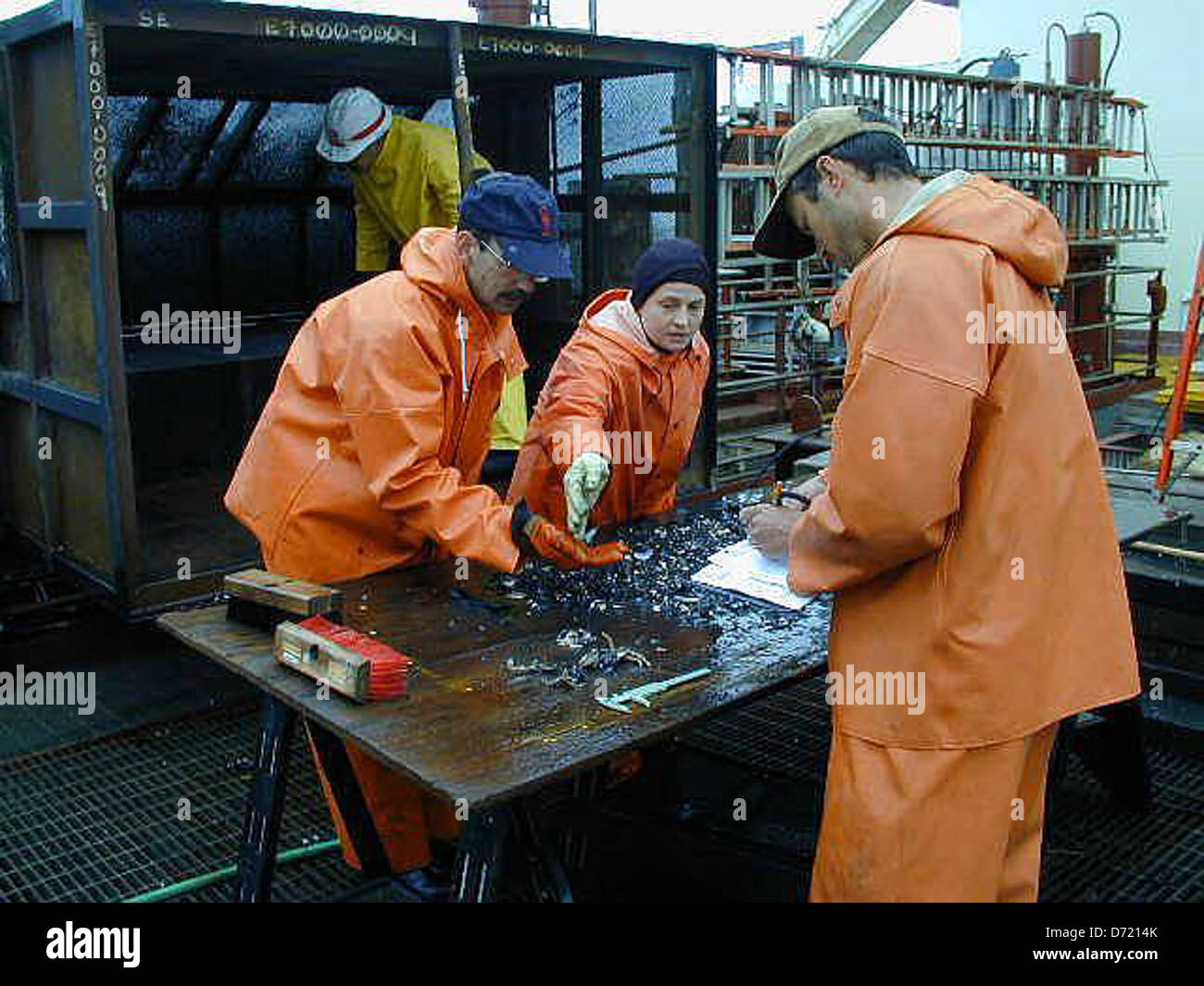 Crab Entrainment Study Stock Photo - Alamy
