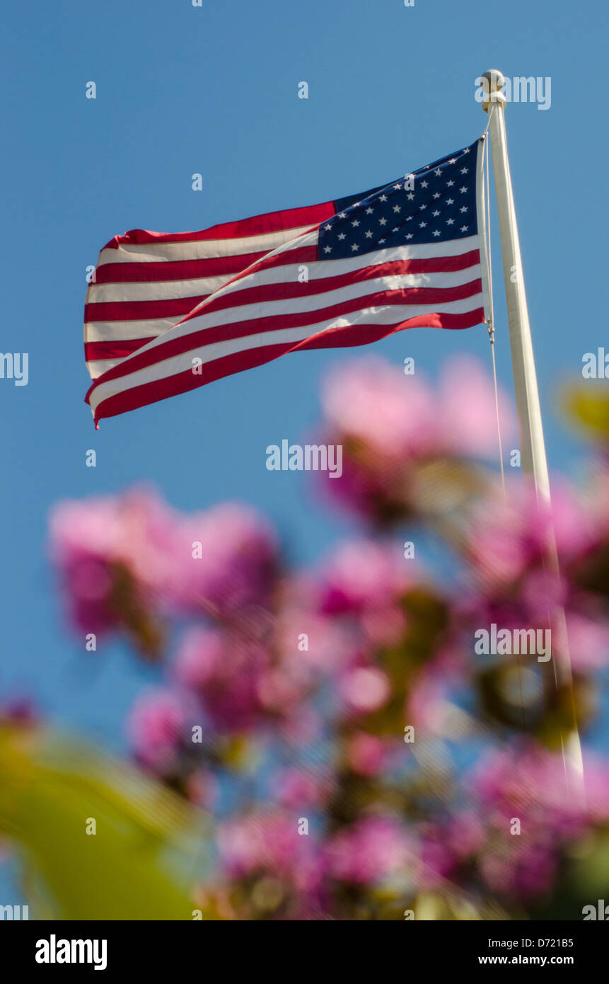 Flag and flowers hi-res stock photography and images - Alamy